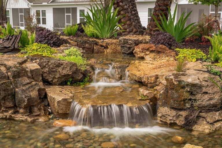 Water has a magical way of transforming a backyard